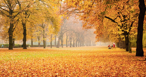 10 Most Beautiful Fall Travel Destinations | Bucket List | BeautifulNow