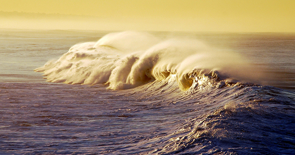 Surprising Effects of Waves | New Study | BeautifulNow