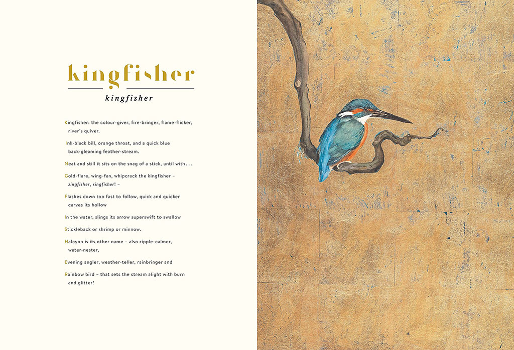 Lost Words Saved | Book by Jackie Morris & Robert MacFarland | BeautifulNow