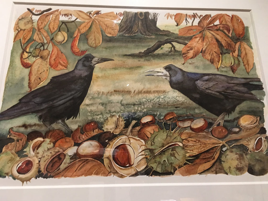 Lost Words Saved | Book by Jackie Morris & Robert MacFarland | BeautifulNow
