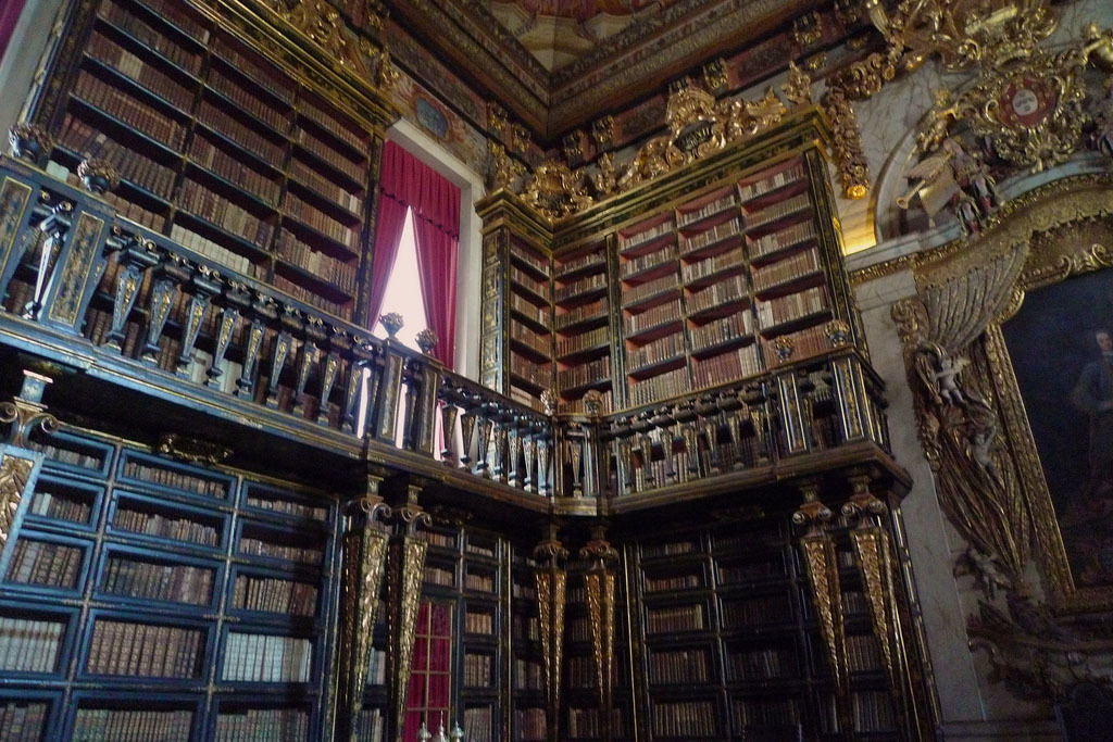 Bats Save Ancient Books in Portugal | BeautifulNow