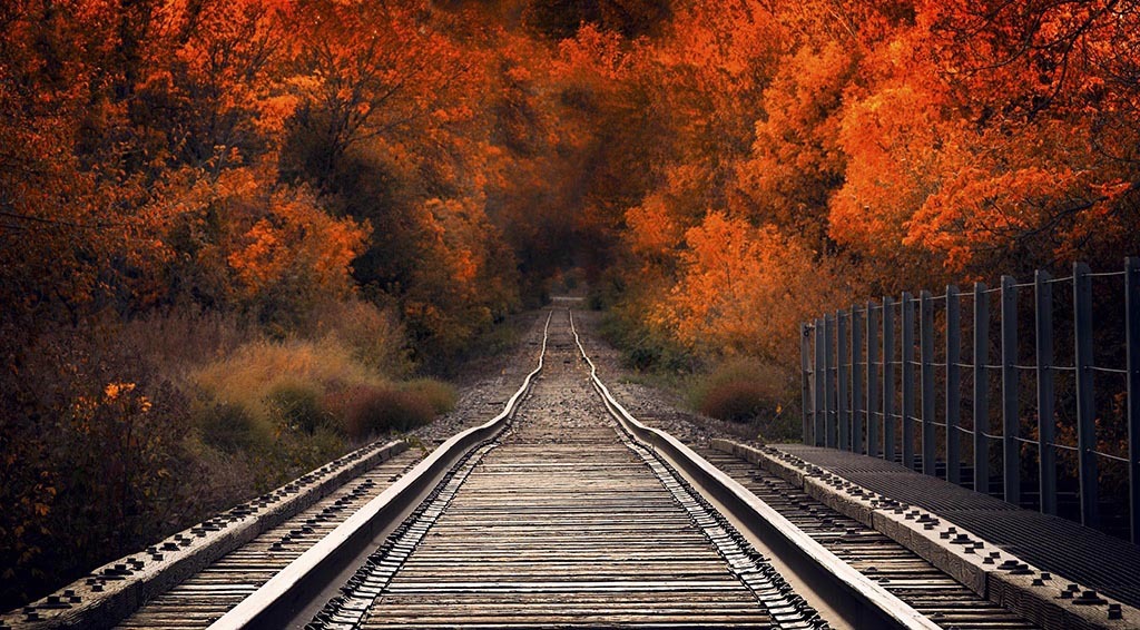 Awesome Autumn Paths | Photo & Hikes Inspo | BeautifulNow