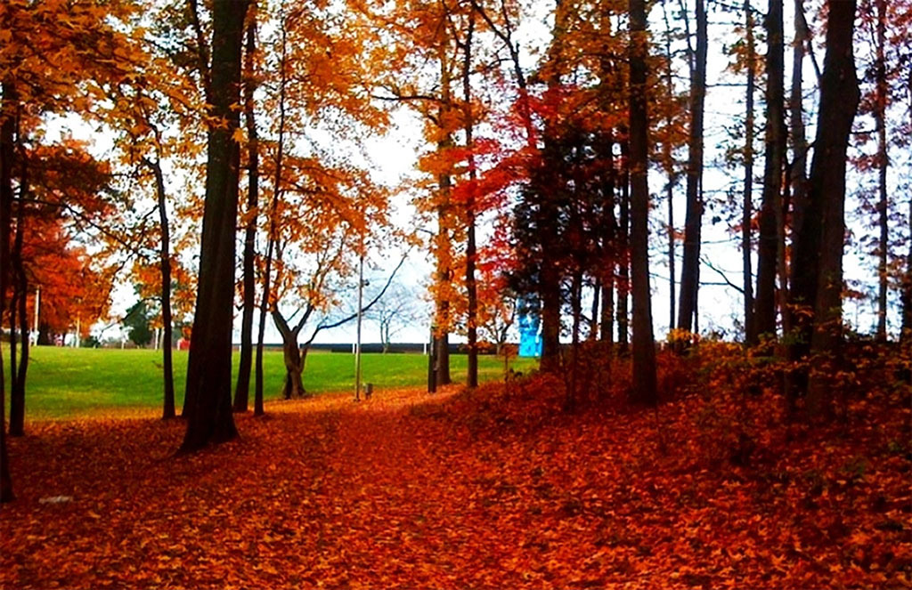 Awesome Autumn Paths | Photo & Hikes Inspo | BeautifulNow