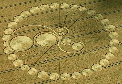 Magnificent Crop Patterns! | BeautifulNow