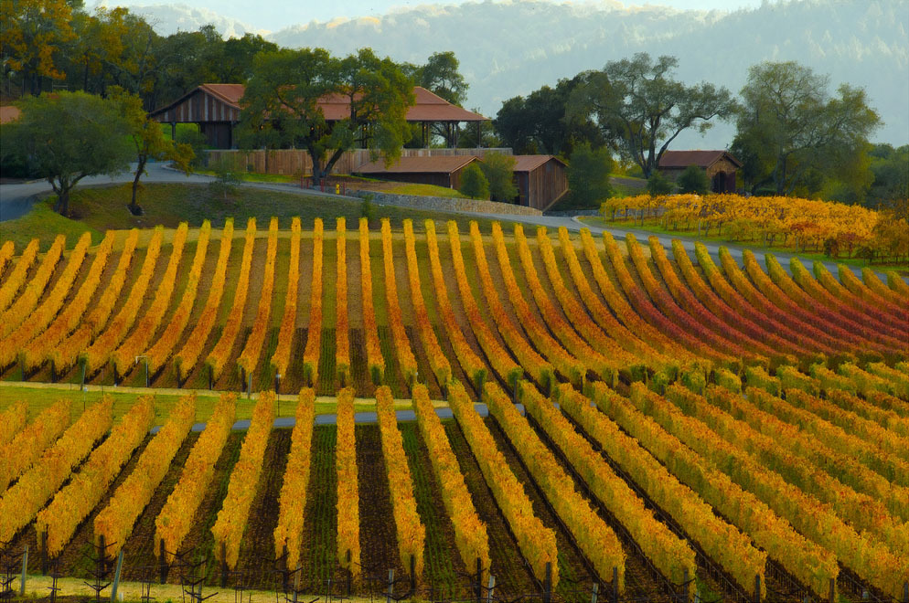 Magnificent Crop Patterns! | BeautifulNow