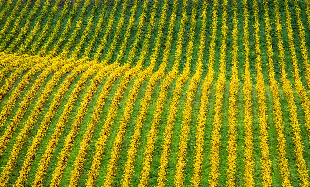Magnificent Crop Patterns! | BeautifulNow