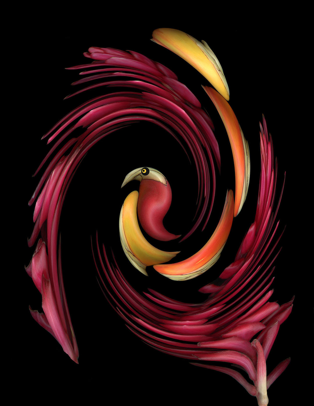 Stunning Scanography | Botanical Prints | Doug McLarty | BeautifulNow