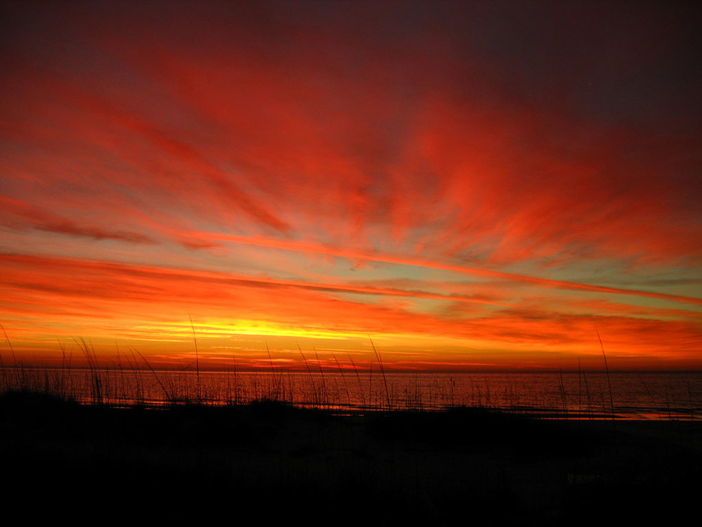 Autumn Red Works Its Magic | Beautiful Quotes & Images | BeautifulNow