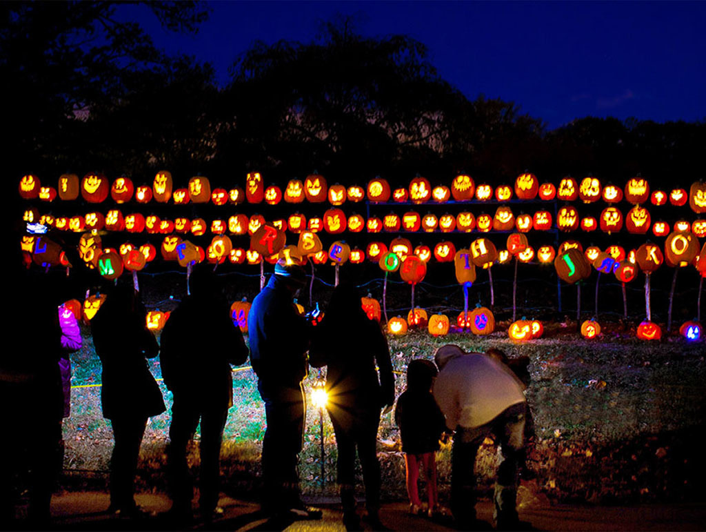 Fabulous Pumpkin Festivals! | Orange Awesomeness | BeautifulNow