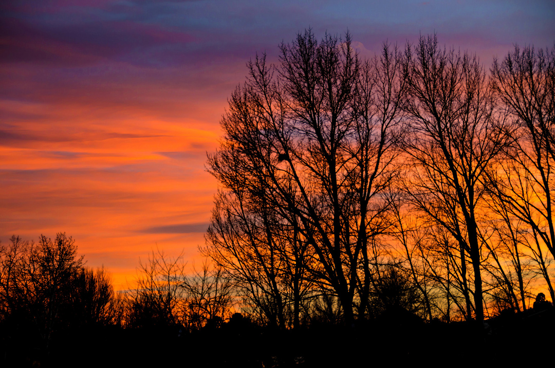 Orange Sunsets Warm Our Souls | BeautifulNow