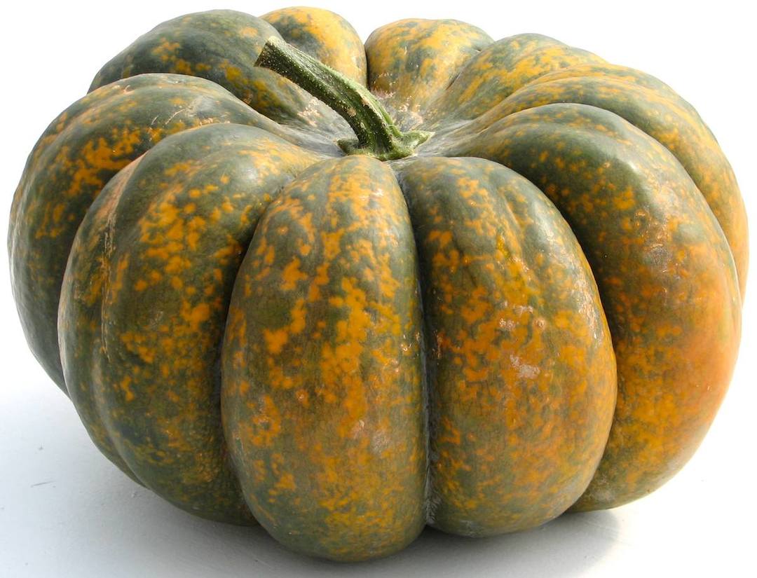 Heirloom Pumpkins: Beautiful to Behold & Devour | BeautifulNow