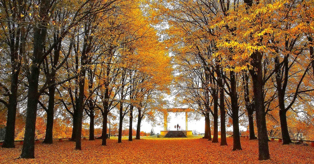 How To Take the Most Beautiful Autumn Photos | Pro Tips | BeautifulNow