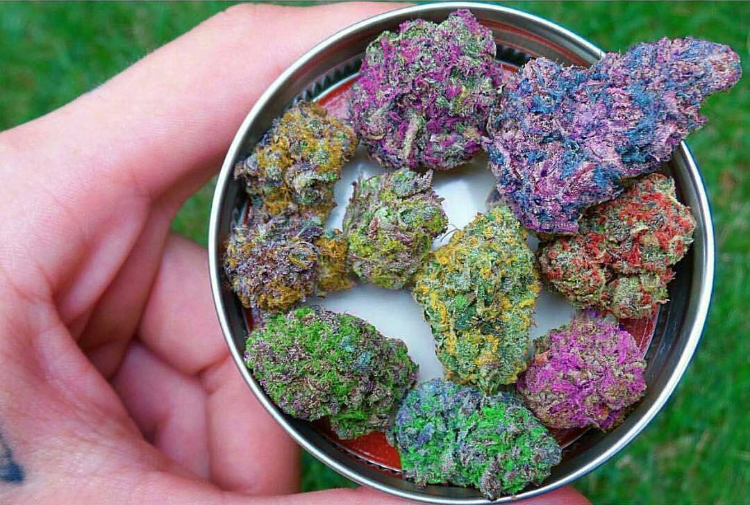 Beautiful Leaves With Beautiful Health Benefits Now Legal Cannabis 