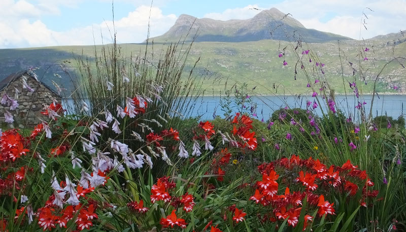 Gorgeous Gardens with a Purpose | Visit Scotland | BeautifulNow