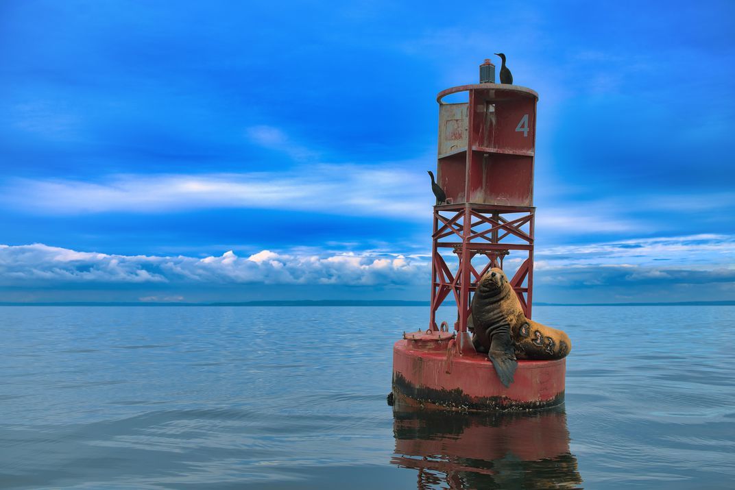 Most Beautiful Moving Ocean Photos | Ocean Conservancy | BeautifulNow