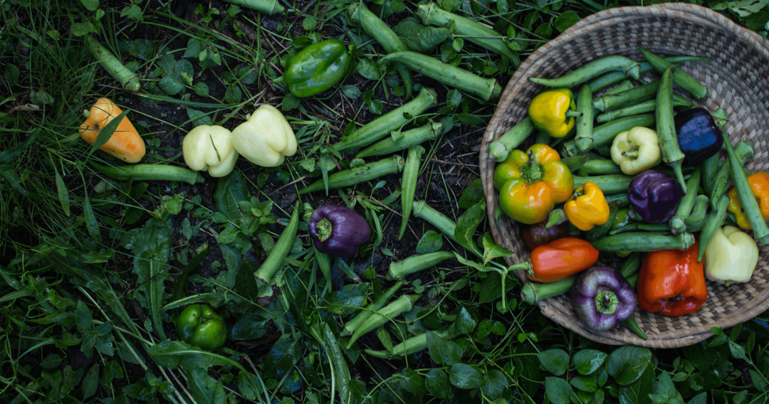 Eat More Beautifully in 2019! | 10 Gorgeous New Vegan Cookbooks ...