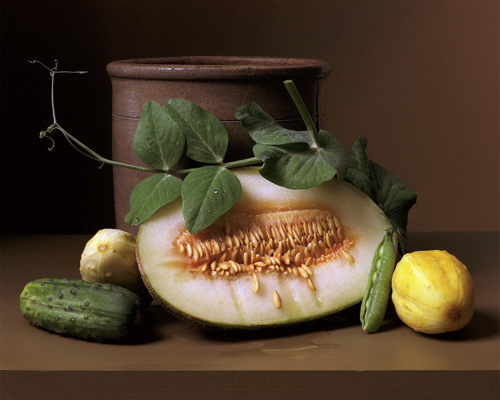 Taste So Real | Sharon Core | The Armory Show | BeautifulNow