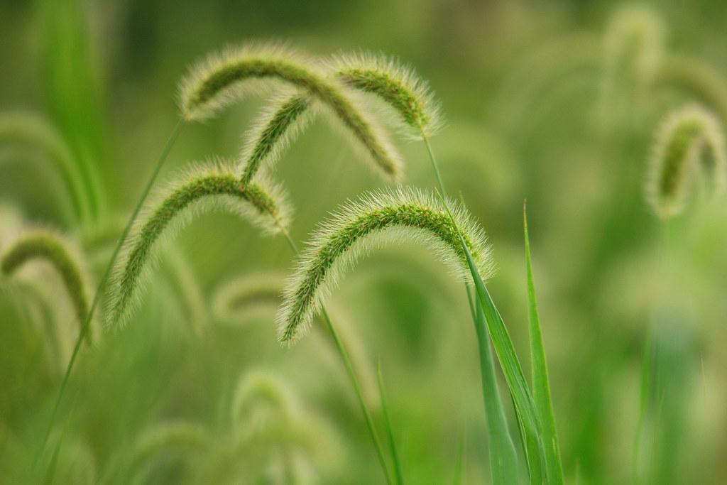 Green Grass & Blue Skies Right Now | Quotes, Ideas & Images | BeautifulNow