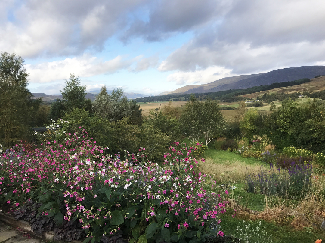 Gorgeous Gardens with a Purpose | Visit Scotland | BeautifulNow