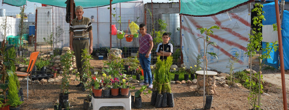 These Gardens Grow Hope & Save Souls | Lemon Tree Trust | BeautifulNow