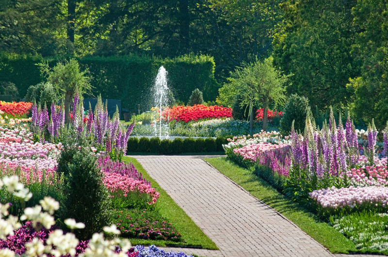 Spend Mother’s Day Immersed in Beauty | Longwood Gardens | BeautifulNow