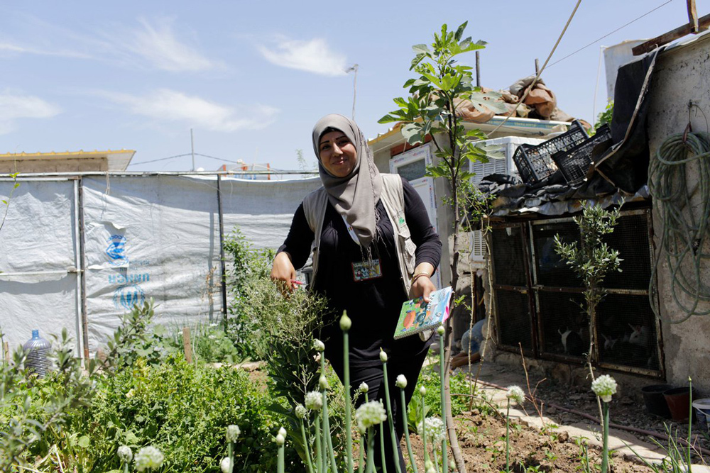 These Gardens Grow Hope & Save Souls | Lemon Tree Trust | BeautifulNow