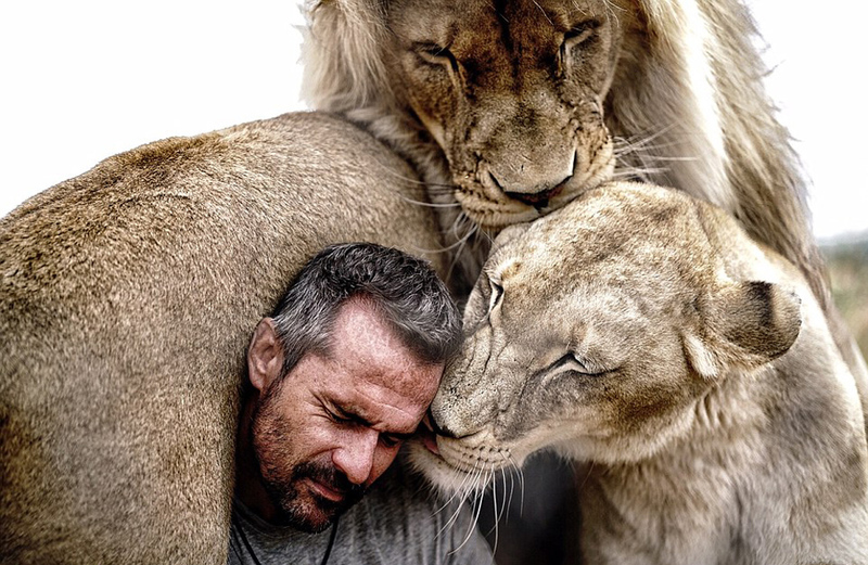 Most Beautiful Wildlife Photos | Capture Earth | BeautifulNow
