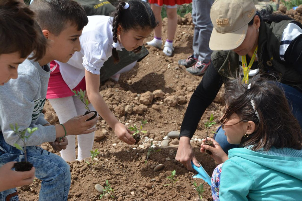 These Gardens Grow Hope & Save Souls | Lemon Tree Trust | BeautifulNow