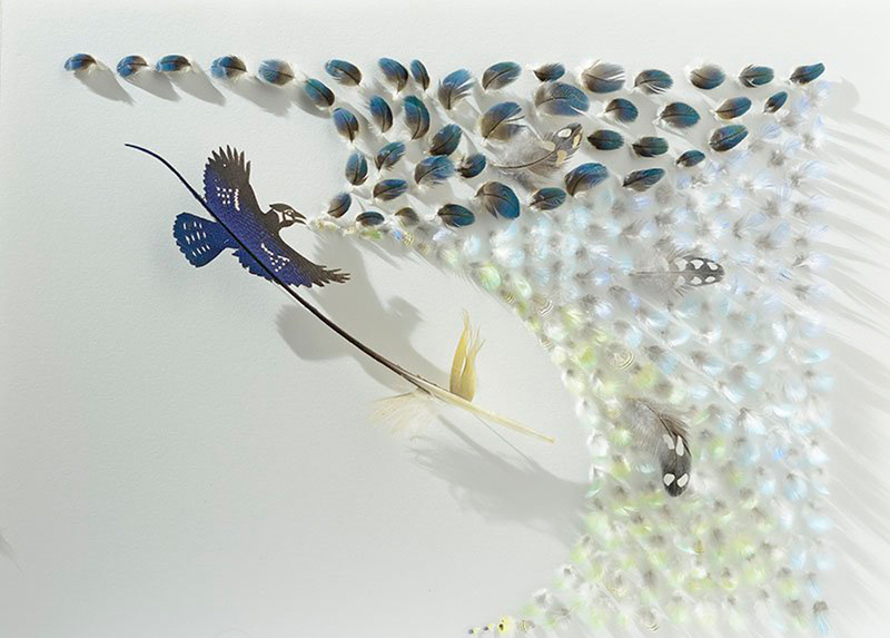 Feathered Art! | Chris Maynard | BeautifulNow