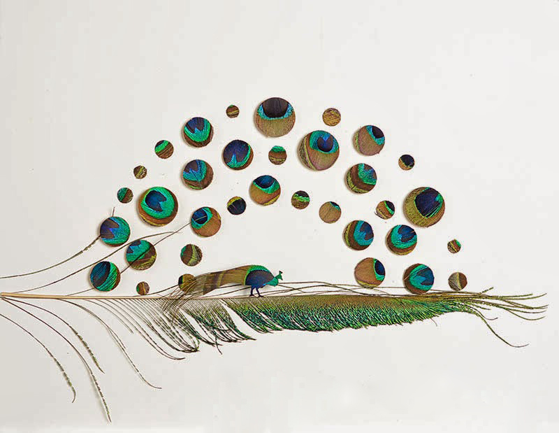 Feathered Art! | Chris Maynard | BeautifulNow