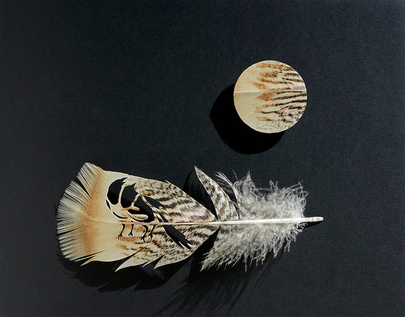 Feathered Art! | Chris Maynard | BeautifulNow