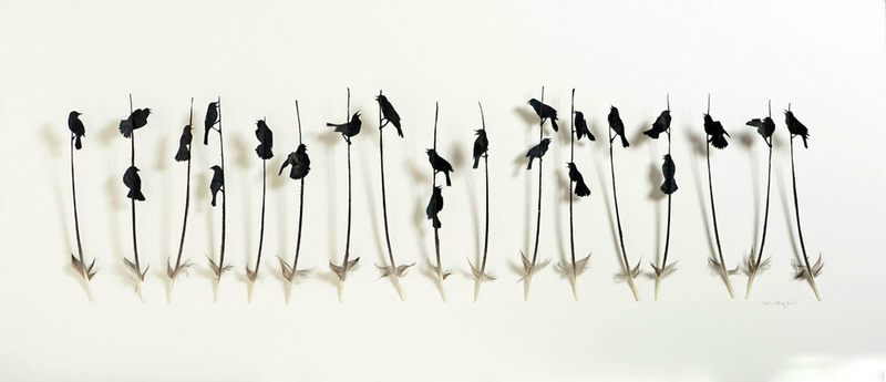 Feathered Art! | Chris Maynard | BeautifulNow