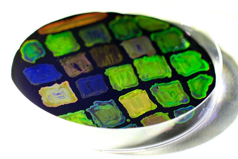 Paint Like a Peacock | Iridescent Bio-Paint | BeautifulNow