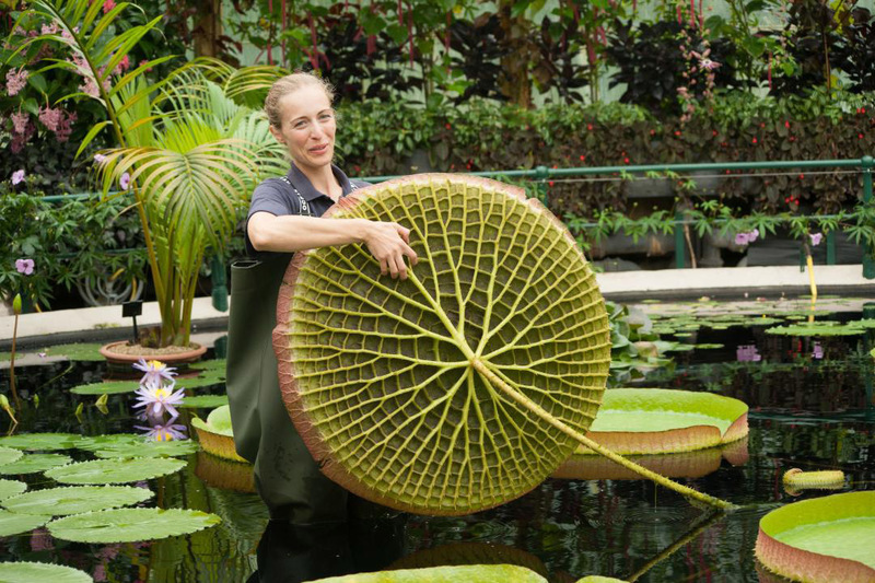 Planet Savior | Carlos Magdalena | Plant Messiah | BeautifulNow