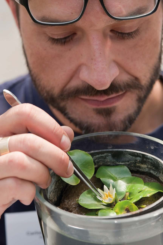 Planet Savior | Carlos Magdalena | Plant Messiah | BeautifulNow