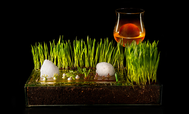 The Art & Science of Cocktails! | Frankie Solarik | BarChef | BeautifulNow