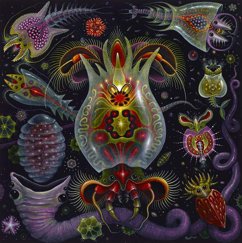 Beautiful Biology Paintings | Robert S. Connett | BeautifulNow