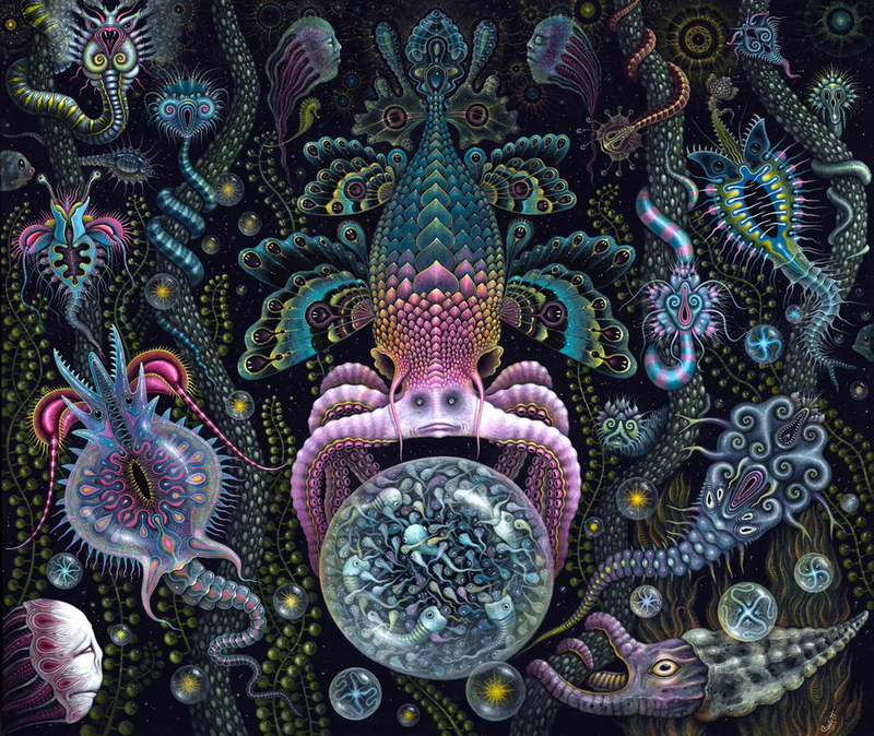 Beautiful Biology Paintings | Robert S. Connett | BeautifulNow