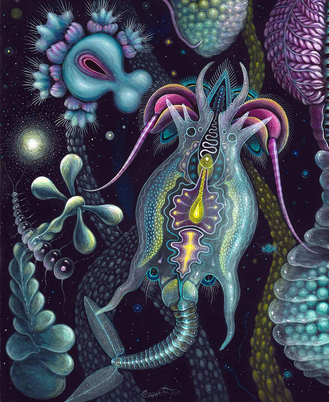 Beautiful Biology Paintings | Robert S. Connett | BeautifulNow