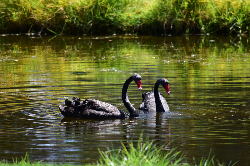 Exceptional Beauty of Western Australia | Western Australia Day ...