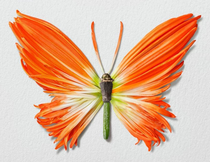 Beautiful Bugs Made of Flowers | Raku Inoue | BeautifulNow