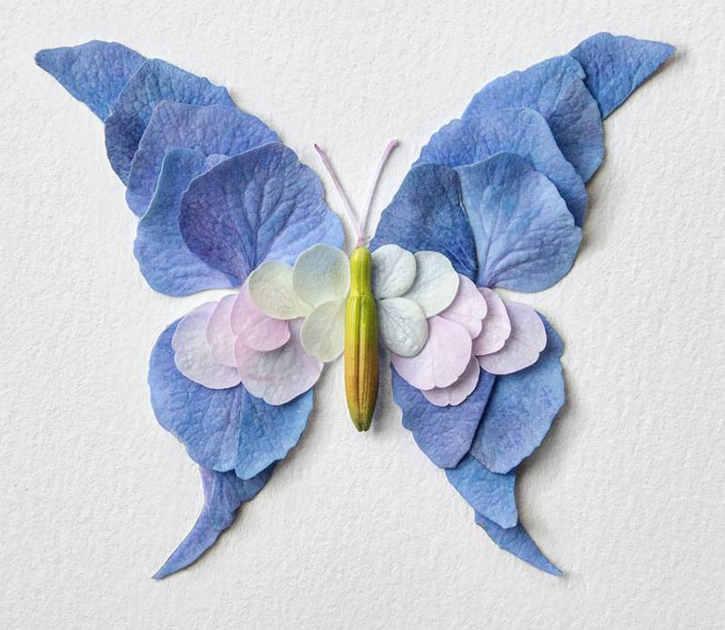 Beautiful Bugs Made of Flowers | Raku Inoue | BeautifulNow