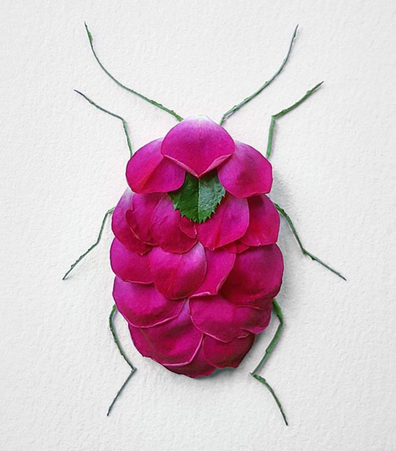 Beautiful Bugs Made of Flowers | Raku Inoue | BeautifulNow