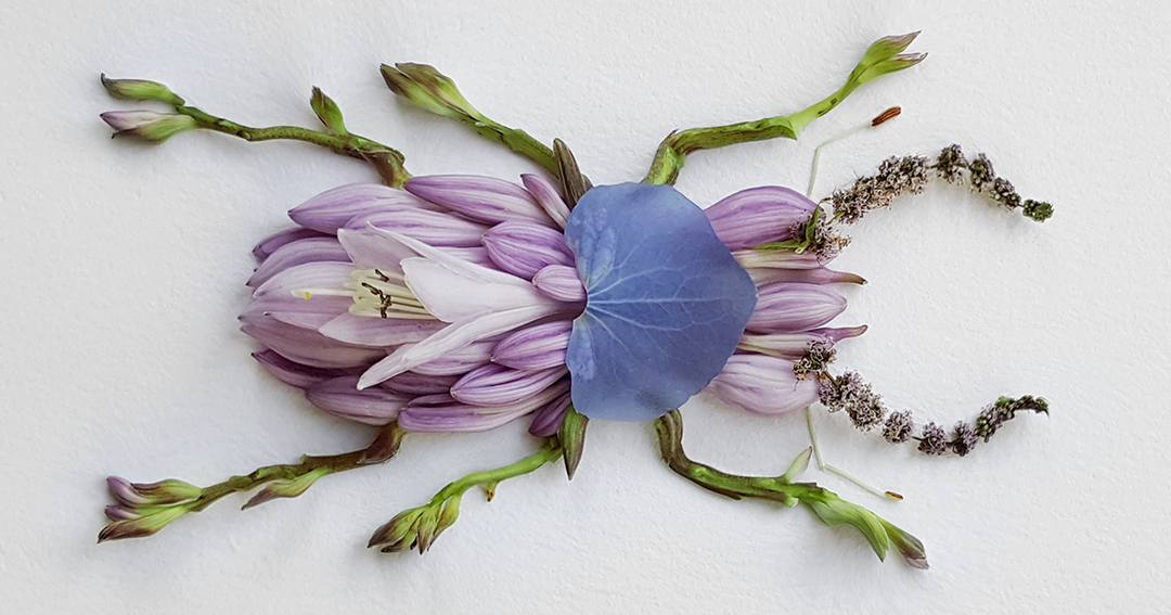 Beautiful Bugs Made of Flowers | Raku Inoue | BeautifulNow