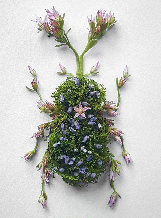 Beautiful Bugs Made of Flowers | Raku Inoue | BeautifulNow