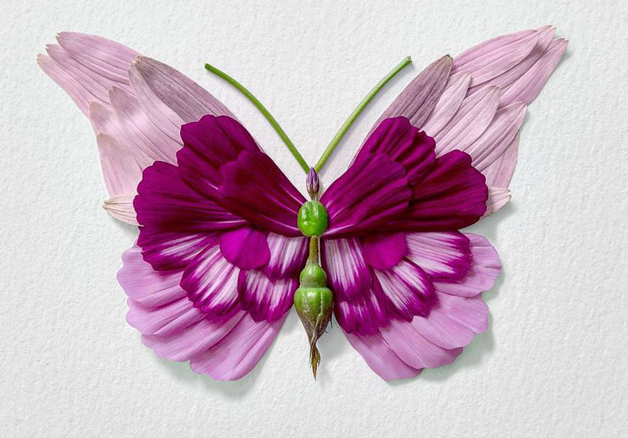 Beautiful Bugs Made of Flowers | Raku Inoue | BeautifulNow