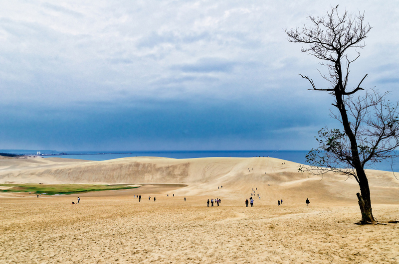 Experience Arabian Nights in Japan! | Tottori Sand Dunes | BeautifulNow