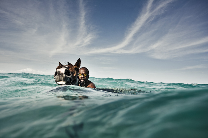 These wild photos are a Labor of Love! | David duChemin | BeautifulNow
