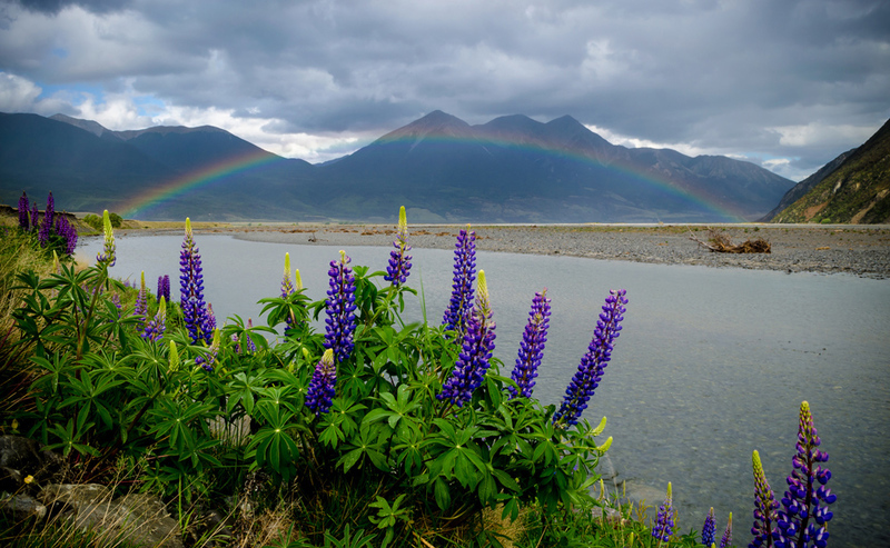 Beauty In Spectrums: Image & Ideas | BeautifulNow