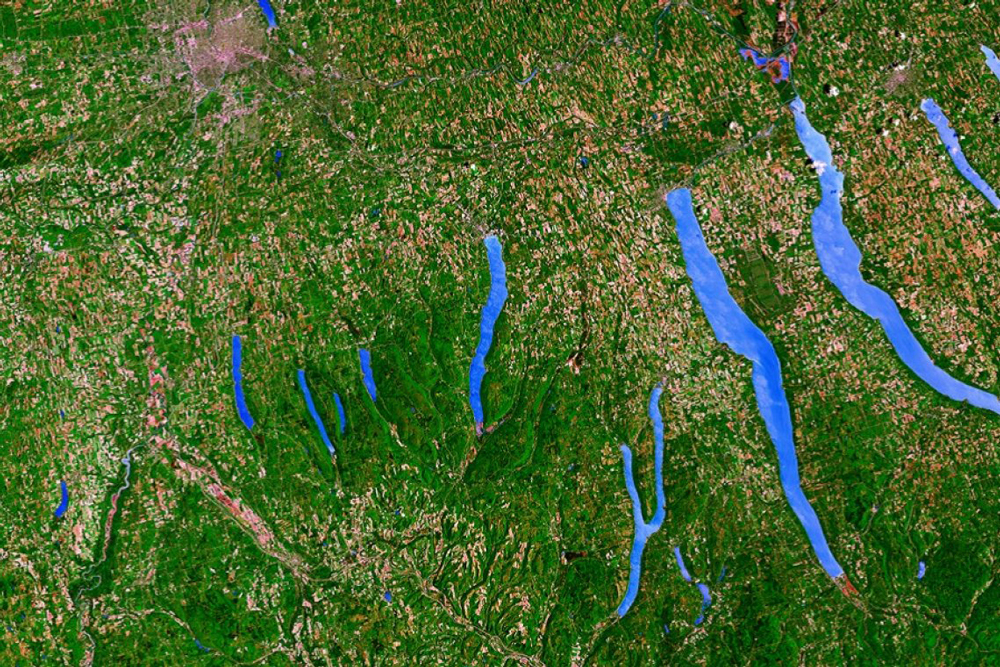 Glorious Finger Lakes Wines | What to Drink Now | BeautifulNow